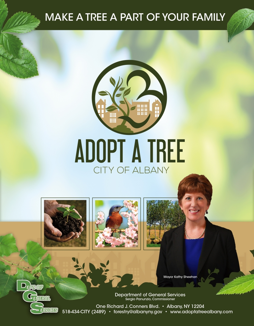 FAQ Trees | Albany Neighborhoods