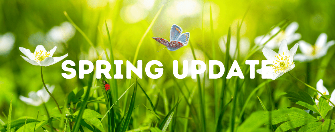 DGS GIVES A SPRING UPDATE | Albany Neighborhoods